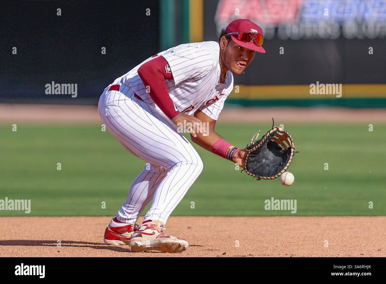 Florida State infielder Myles Bailey (12) warms up before an NCAA ...