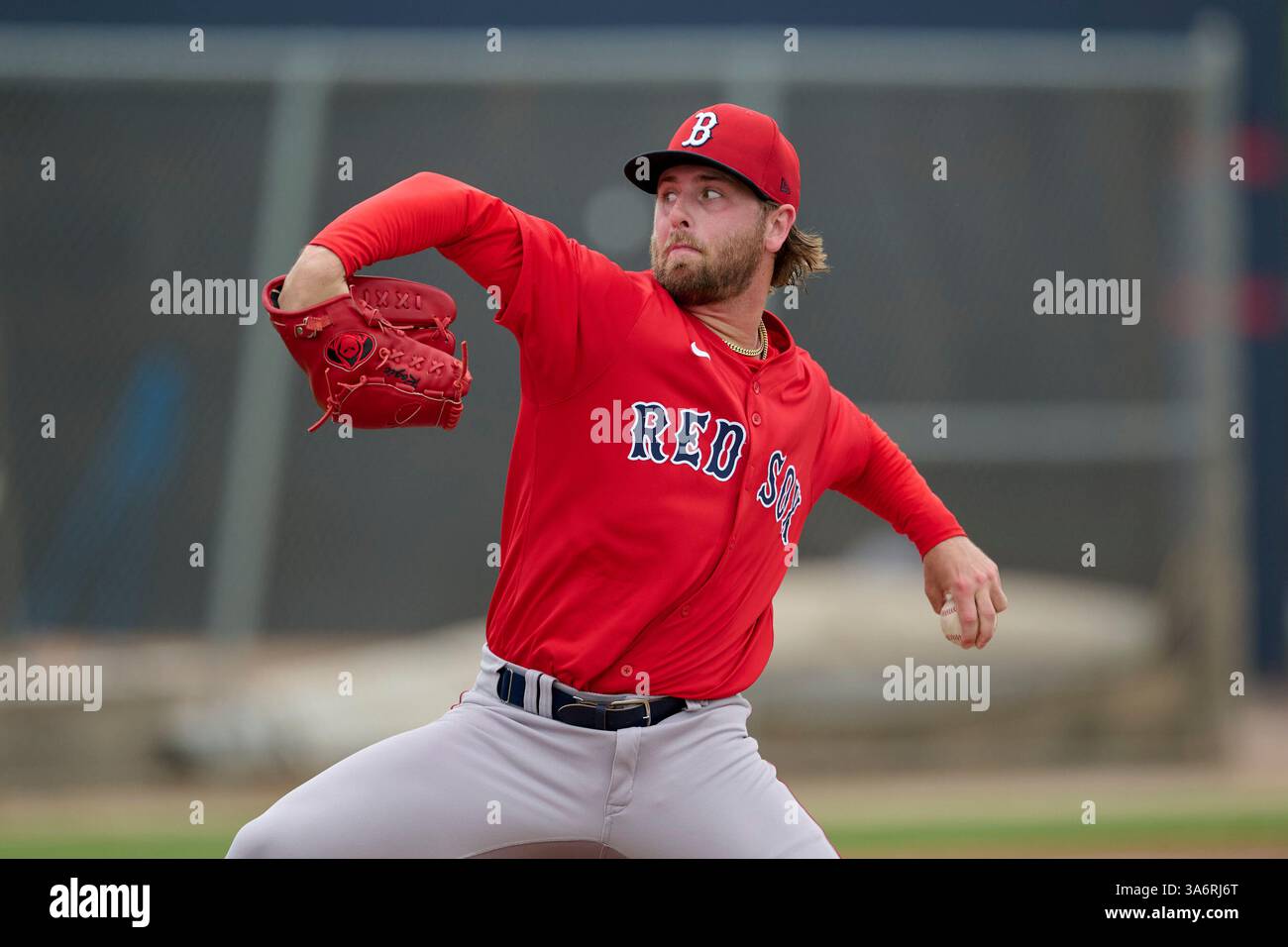 Boston Red Sox pitcher Dalton Rogers (81) during an MiLB Spring ...