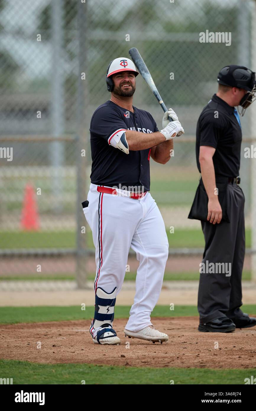 Minnesota Twins Mike Ford (45) at bat during an MiLB Spring Training ...