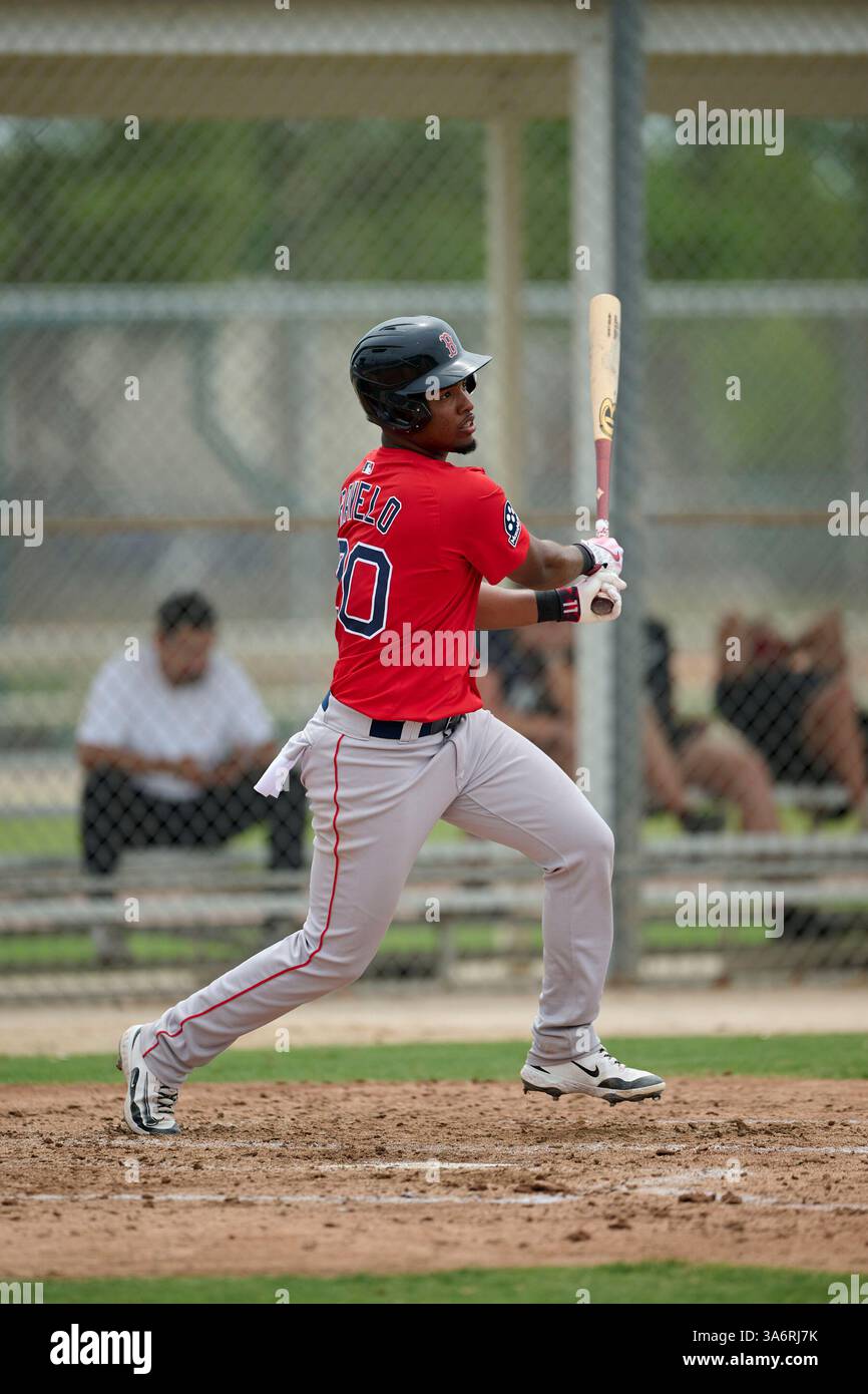 Boston Red Sox Luis Ravelo (20) at bat during an MiLB Spring Training ...