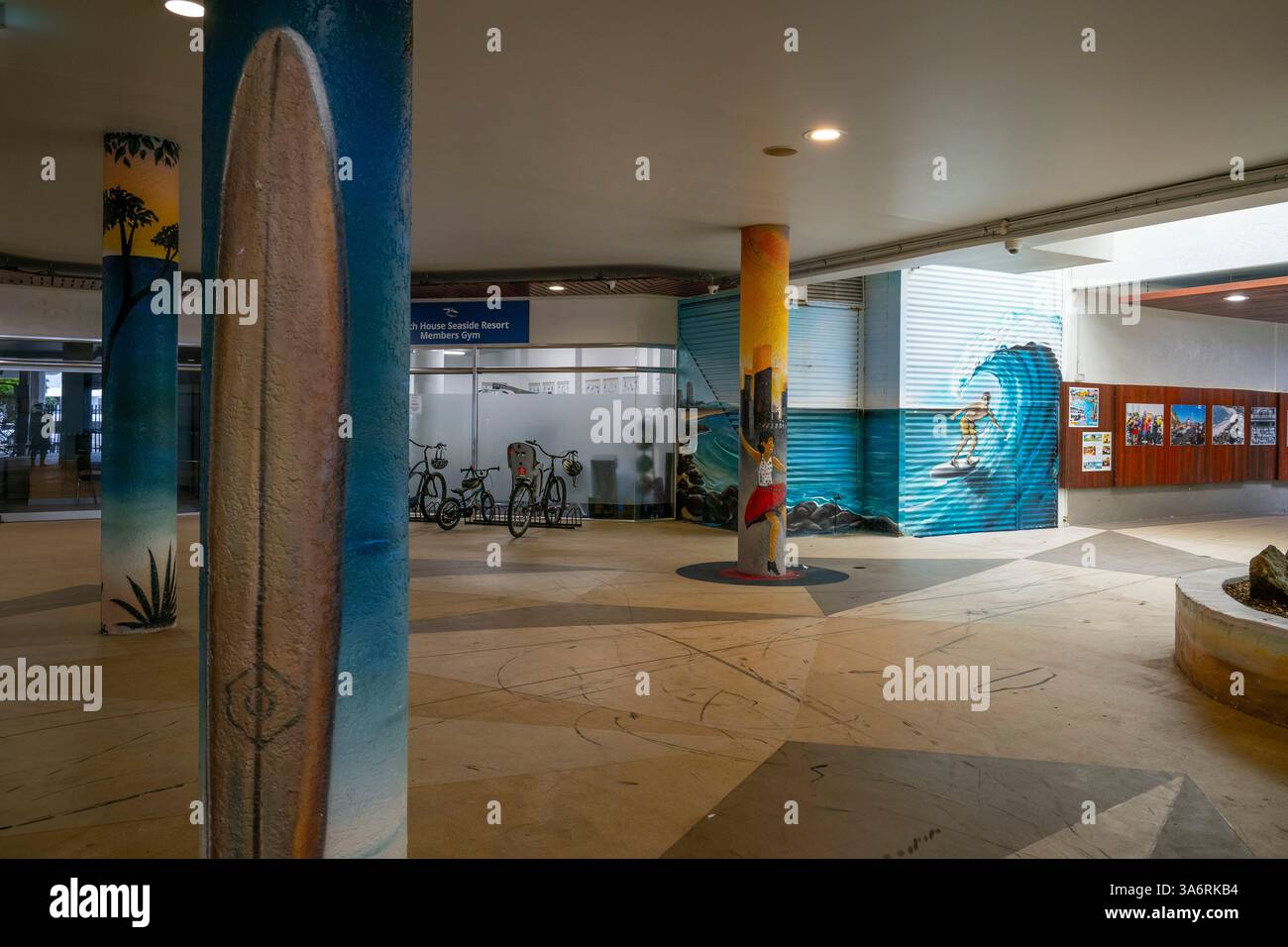 Decorative murals and Street Art in an arcade at Coolangatta at the ...