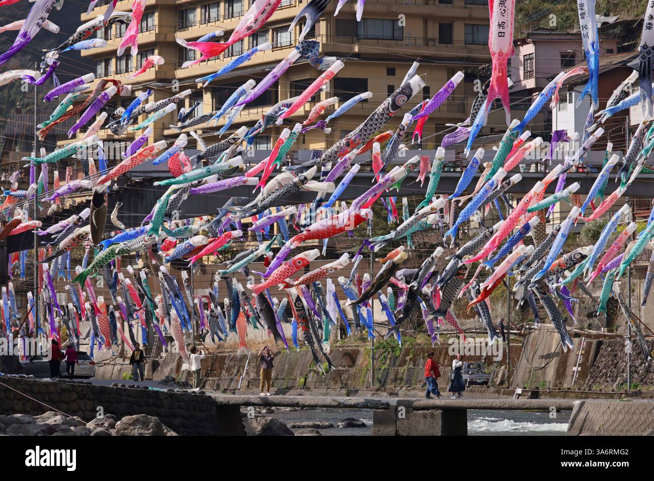 Approximately 3,000 colorful carp streamers sway in the wind over the ...