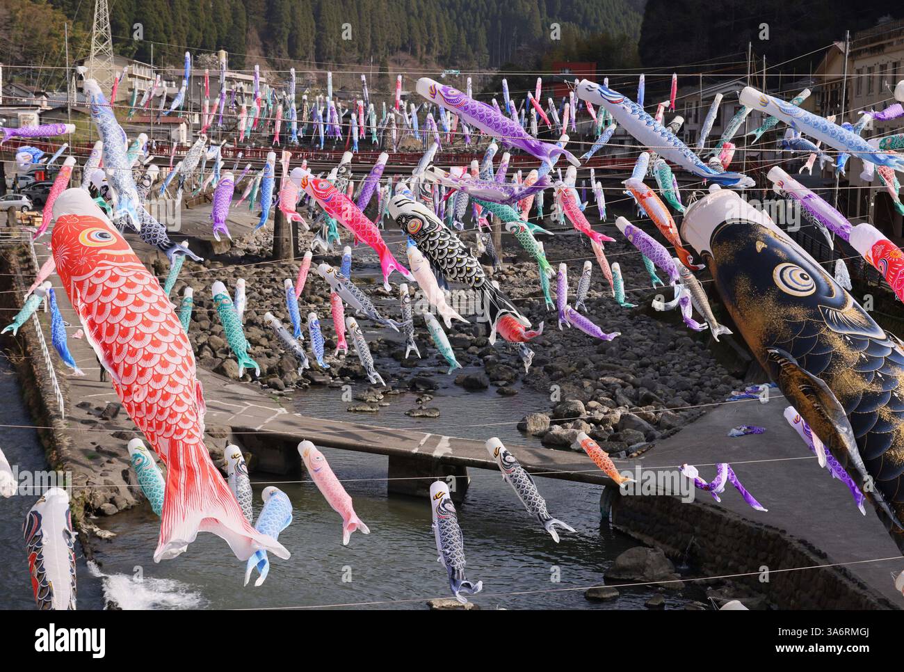Approximately 3,000 colorful carp streamers sway in the wind over the ...