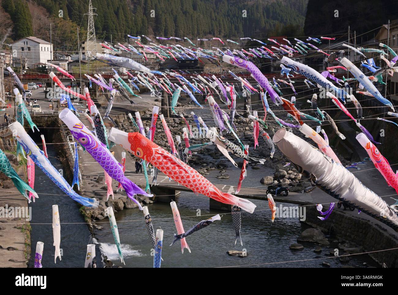 Approximately 3,000 colorful carp streamers sway in the wind over the ...