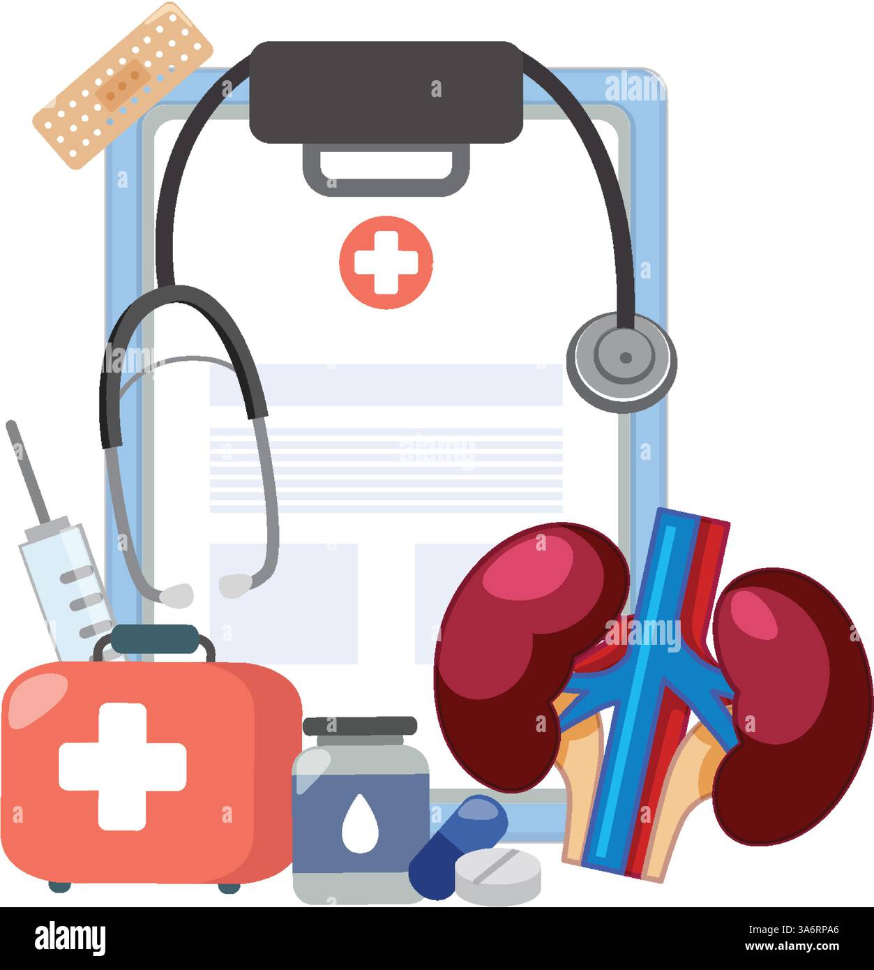 Healthcare items and kidney anatomy in vector style Stock Vector Image ...
