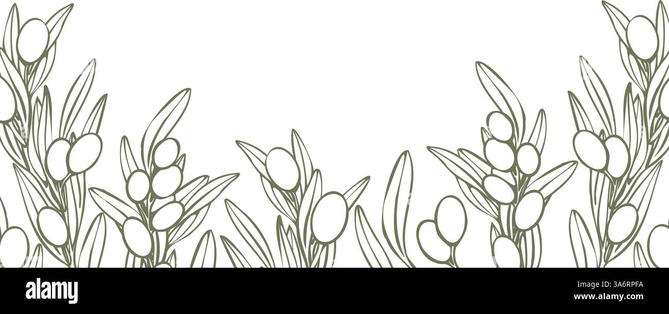 Vector frame with olive tree branch with leaves and fruit. Hand drawn ...