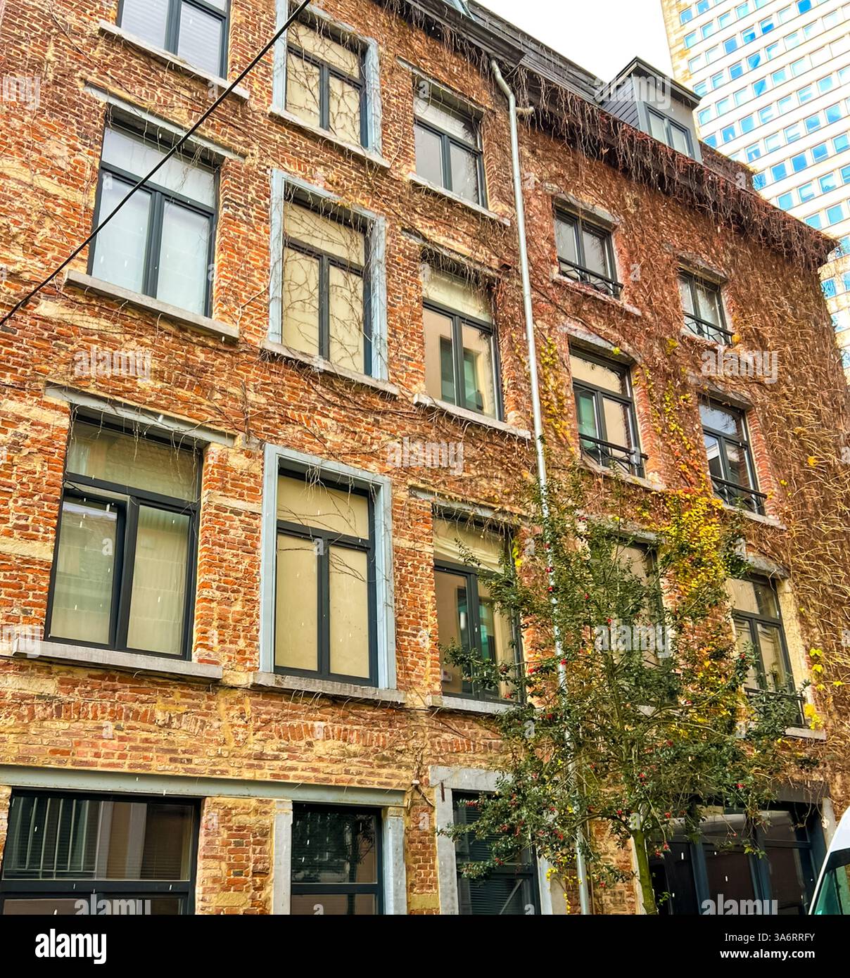 Exterior view of a charming brick building in brussels with modern ...