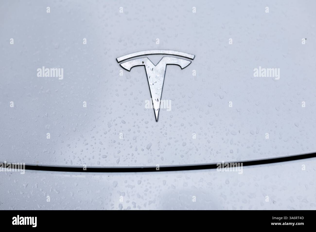 Munich, Germany. 25th Mar, 2025. Tesla's brand logo can be seen on a ...