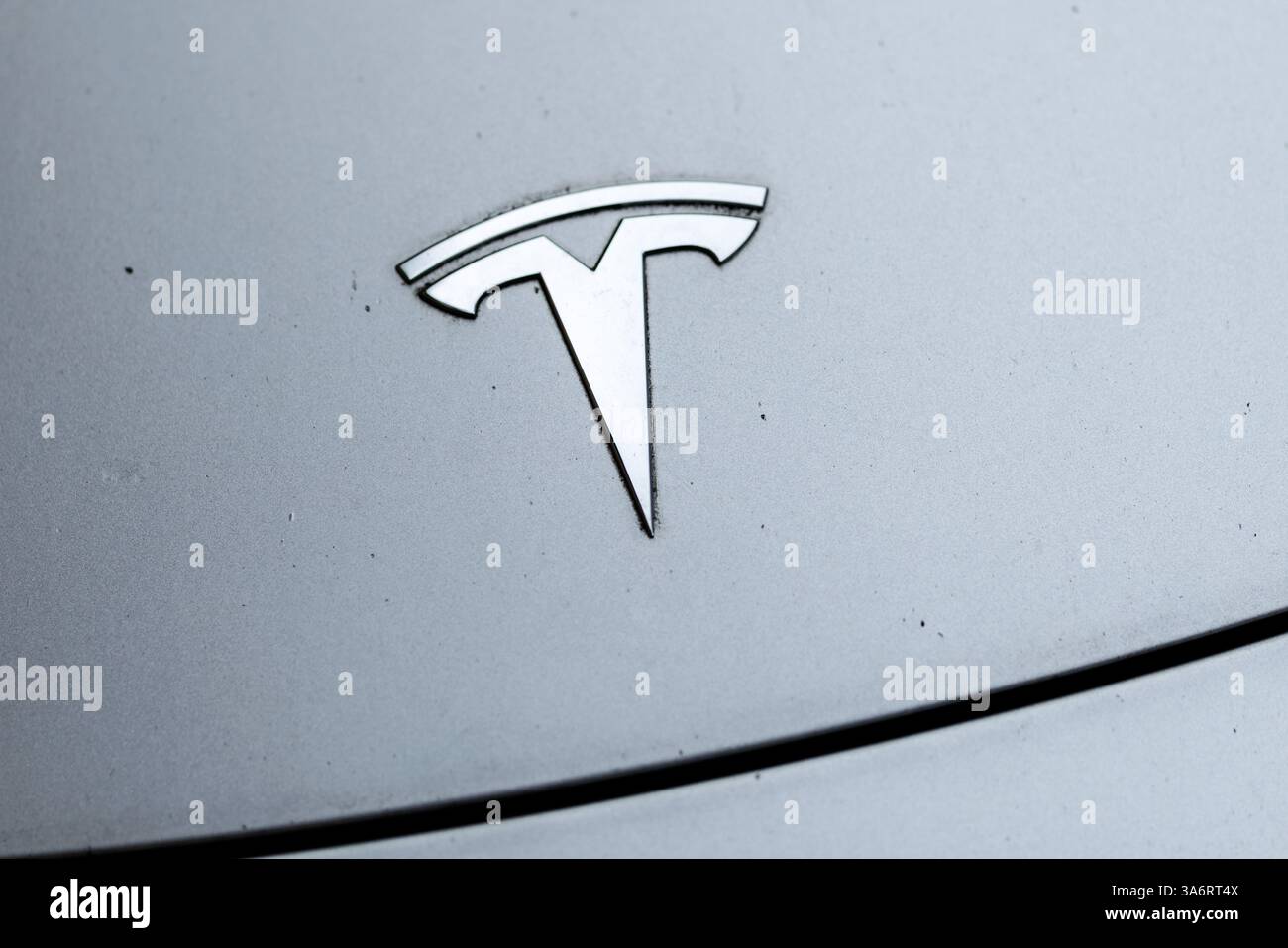 Munich, Germany. 25th Mar, 2025. Tesla's brand logo can be seen on a ...