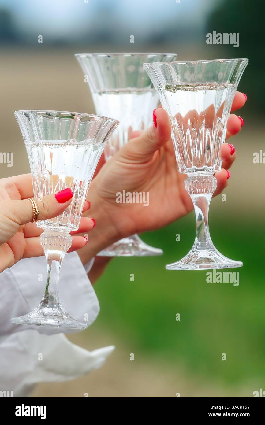Three women holding elegant crystal glasses filled with a clear liquid ...