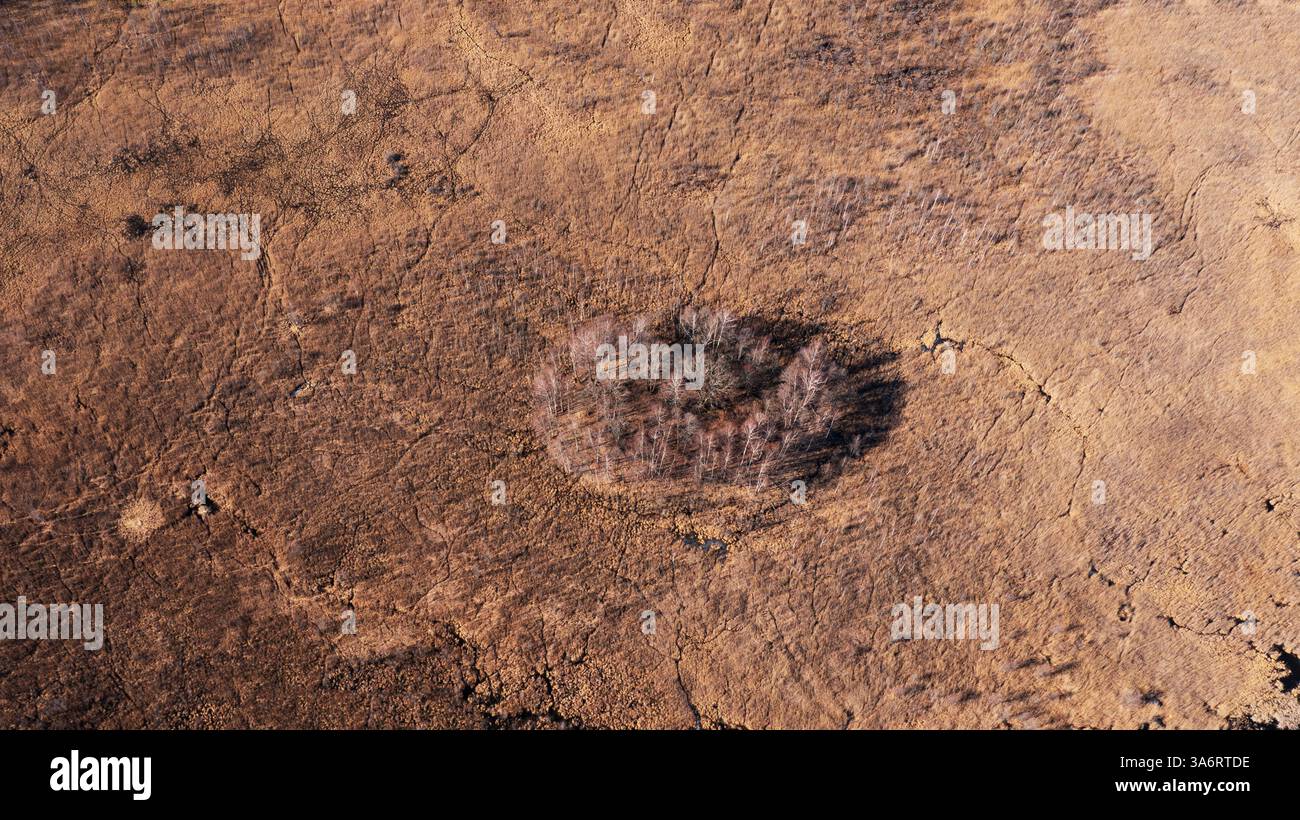 Aerial View of a Dried Swamp with Isolated Trees Climate Change and ...
