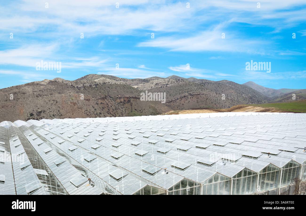 Aerial view industrial agricultural greenhouses for growing. Greenhouse ...