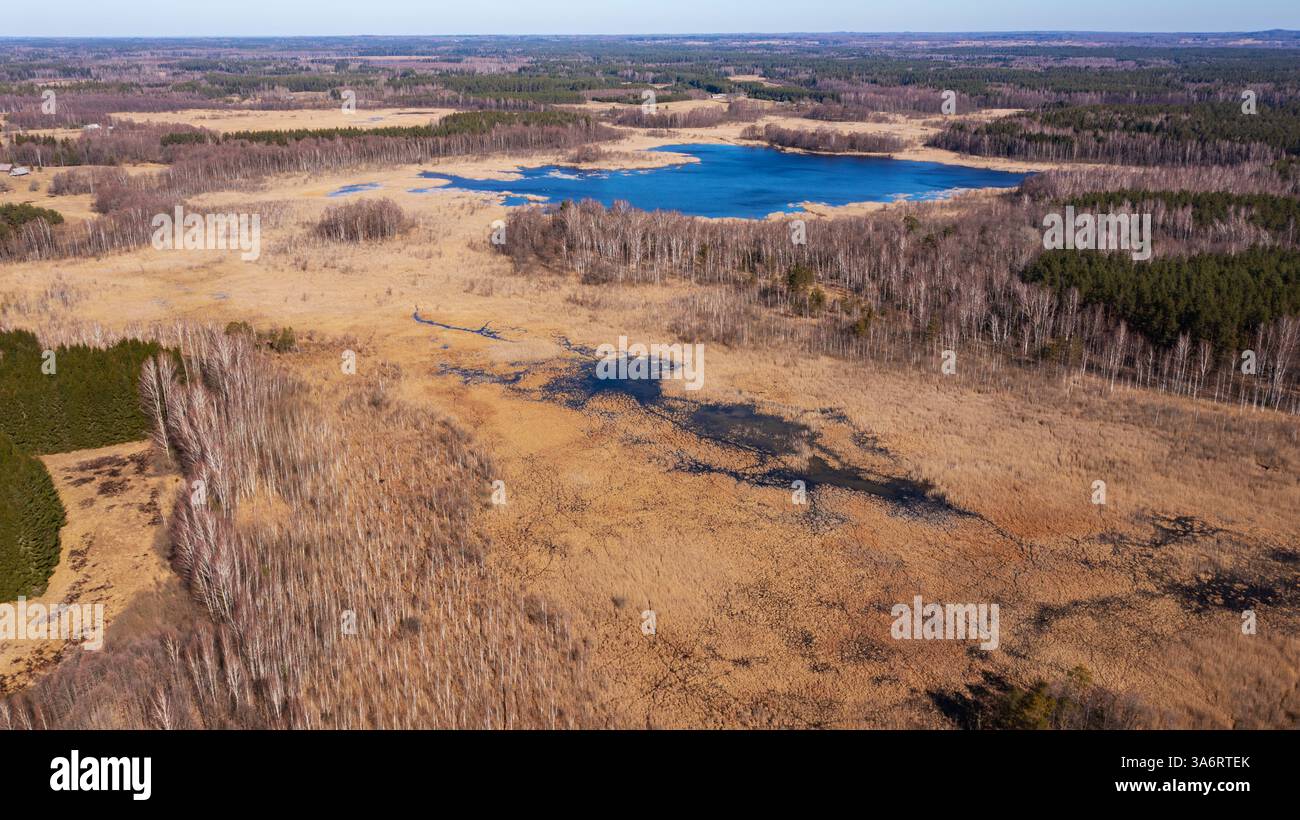 Aerial View of a Dried Swamp with Isolated Trees Climate Change and ...