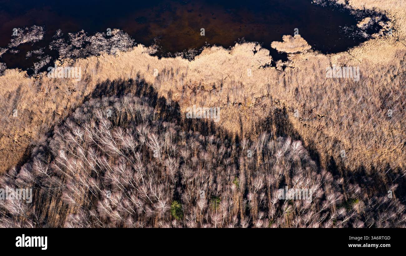 Aerial View of a Dried Swamp with Isolated Trees Climate Change and ...