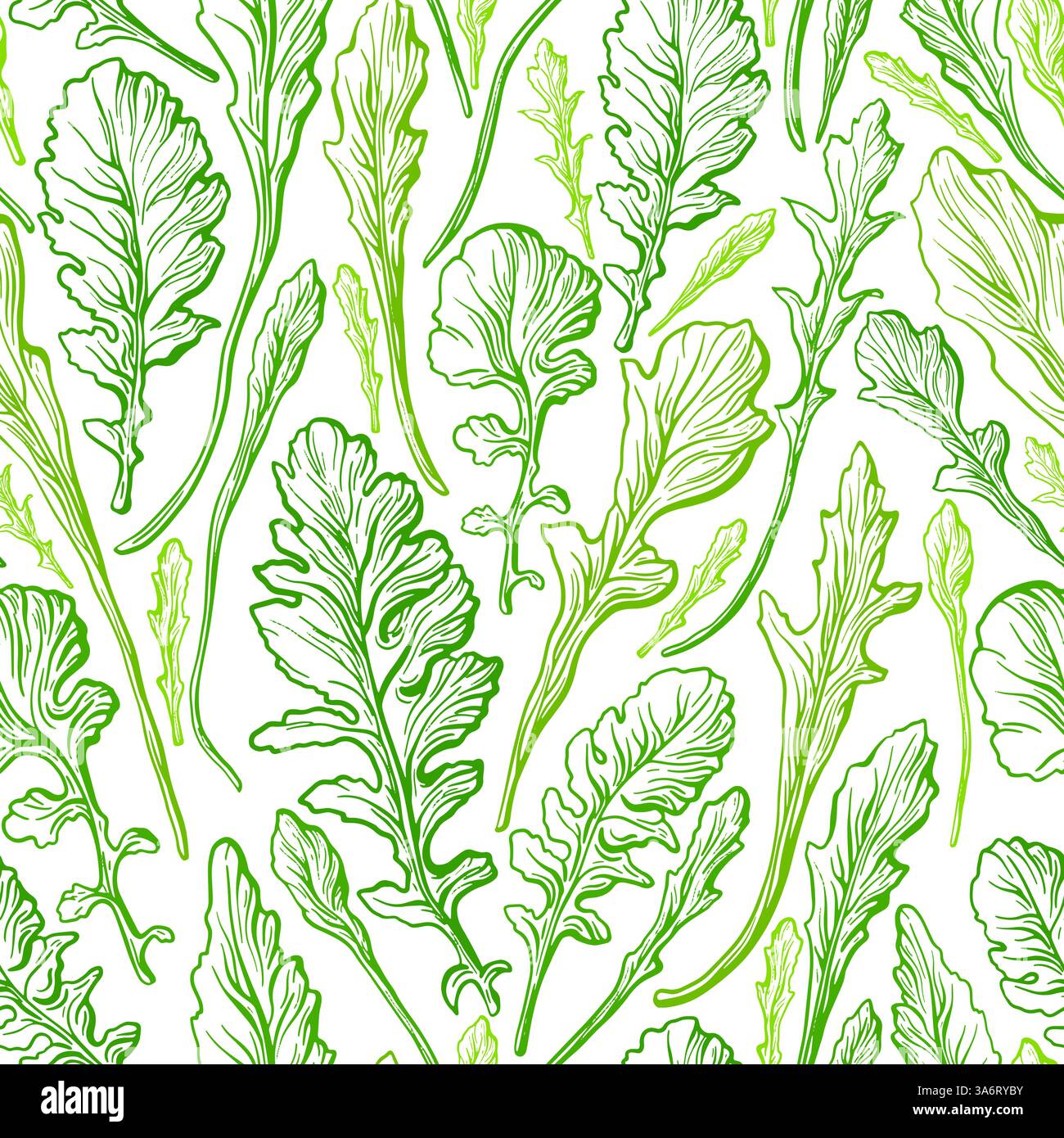 Arugula texture seamless pattern. Vector hand drawn illustration of ...