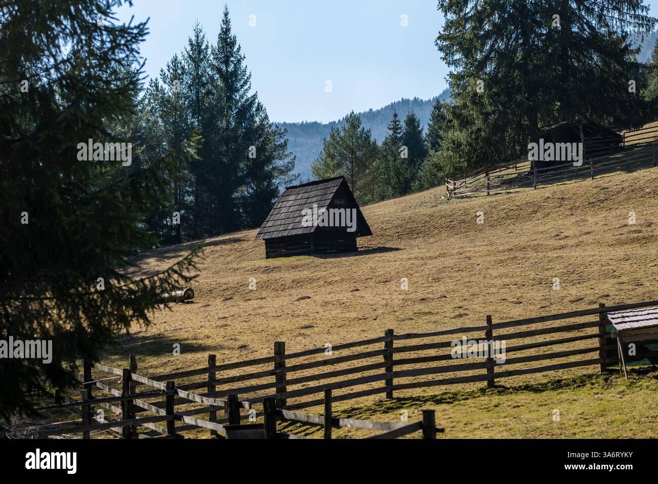Fenced pasture for grazing animals with a small hut Stock Photo - Alamy