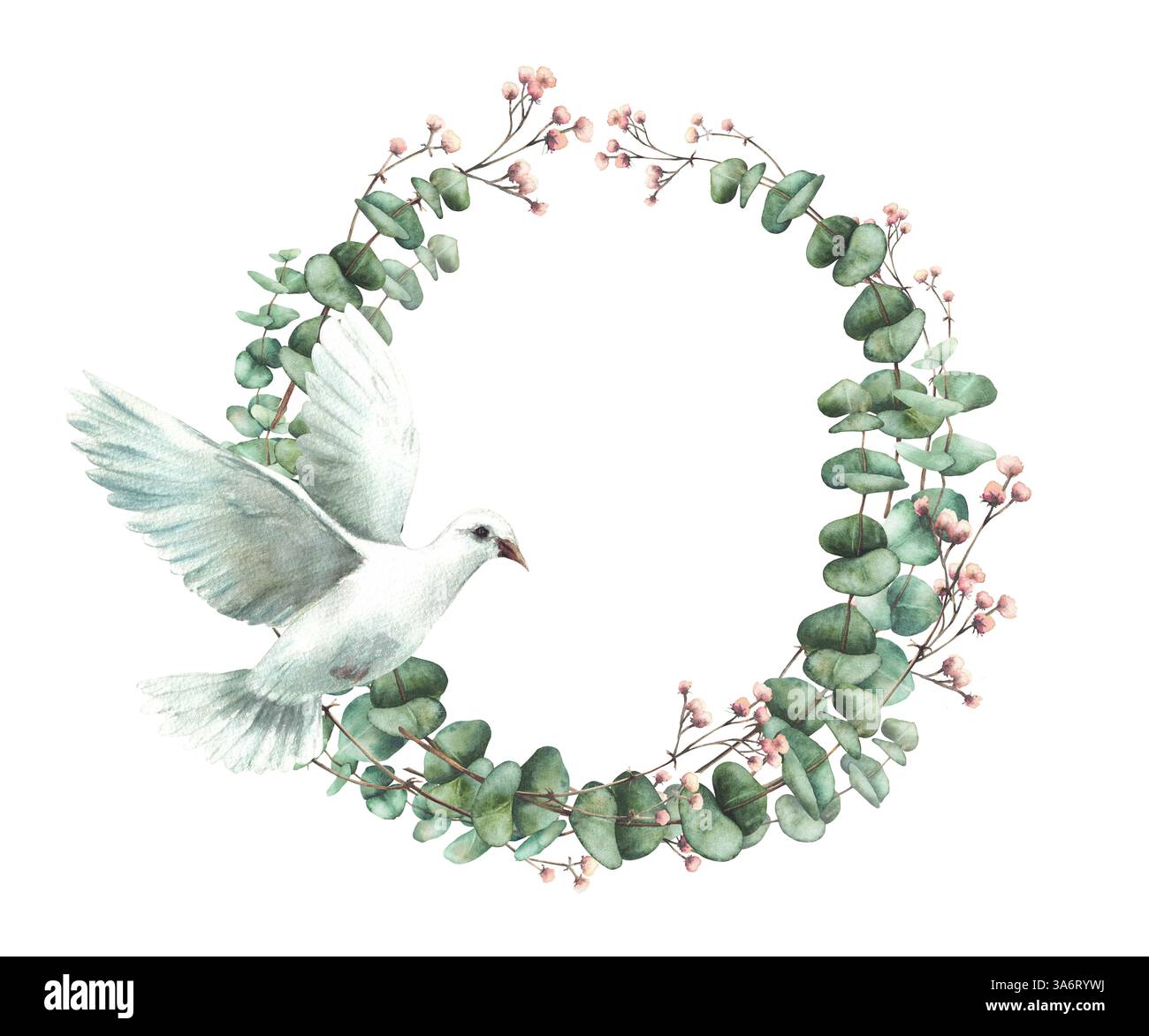 Dove with Eucalyptus plant and pink flower wreath Flying white pigeon ...