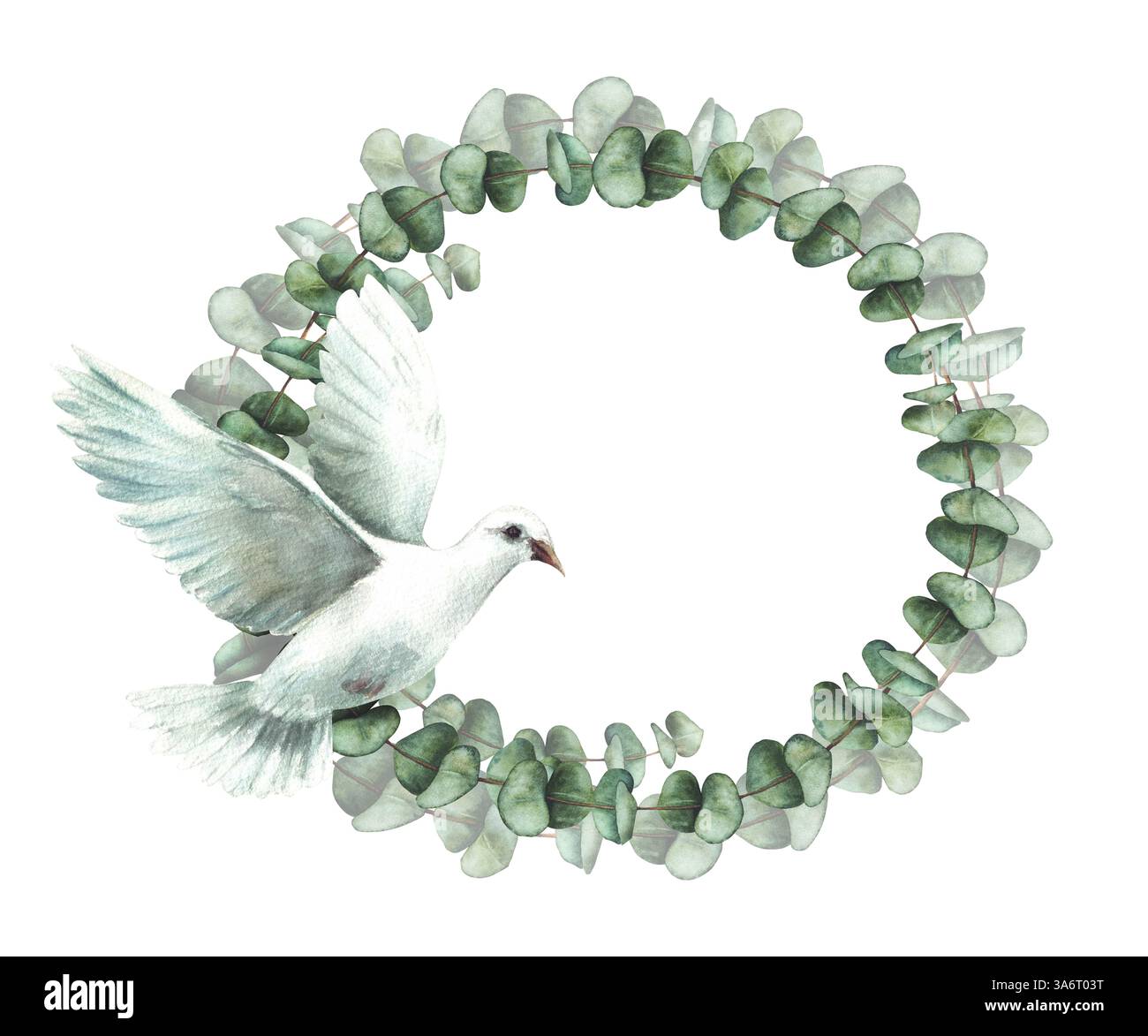 White Dove with Eucalyptus plant wreath. Flying pigeon with watercolor ...