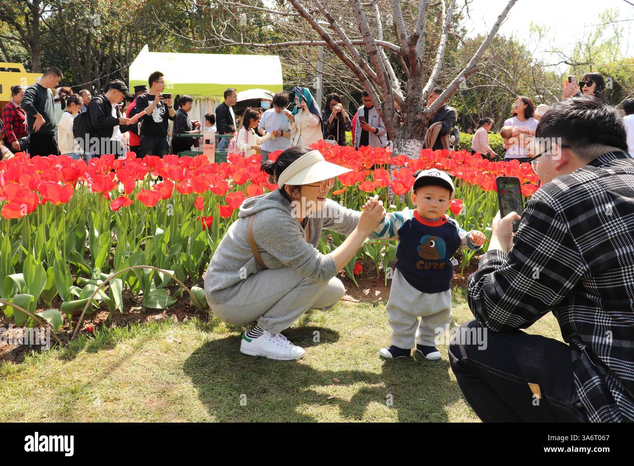 **CHINESE MAINLAND, HONG KONG, MACAU AND TAIWAN OUT** Spring scenery at ...