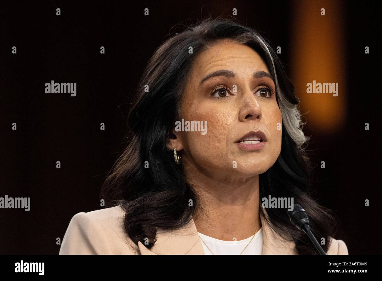 Washington, DC. 25th Mar, 2025. Tulsi Gabbard, Director of National ...