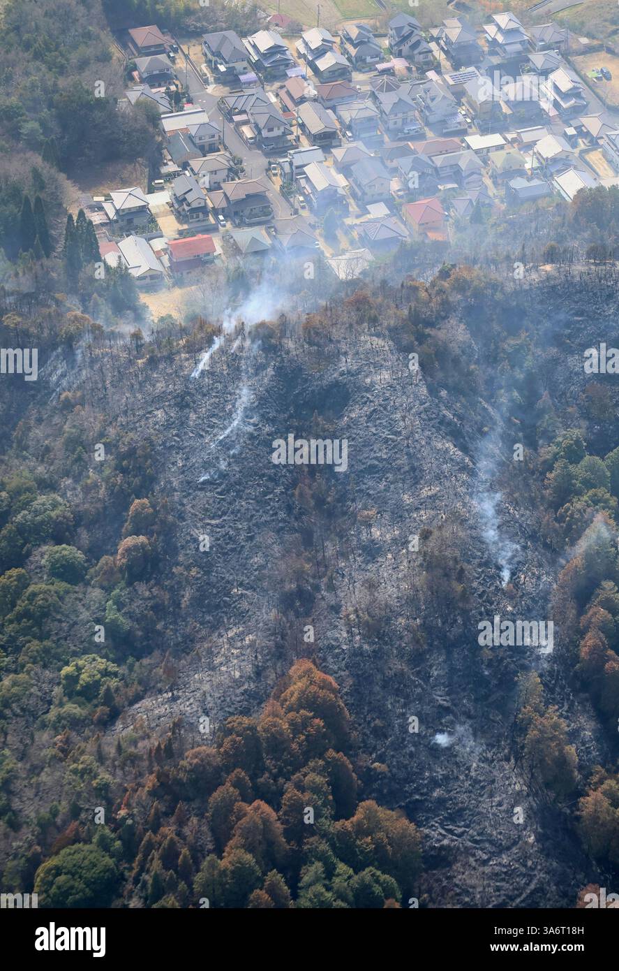 Aerial photo shows burnt mountain forest due to forest fire in Imabari ...
