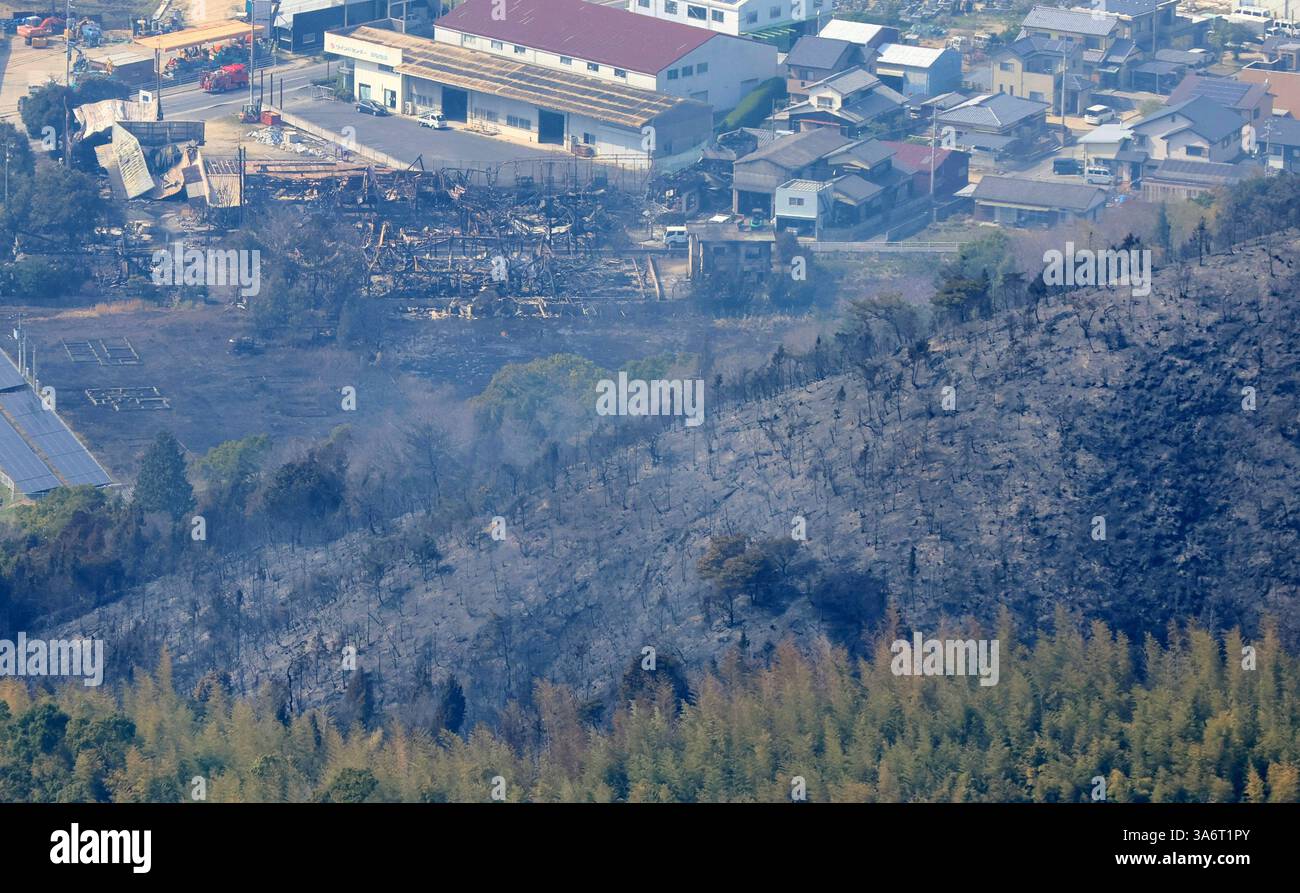Aerial photo shows burnt Buildings and forests due to forest fire in ...