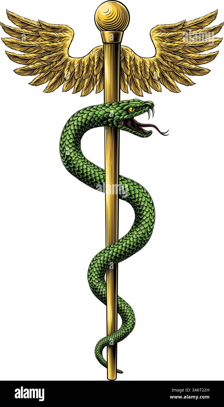 Rod of Asclepius Caduceus Medical Doctor Symbol Stock Vector Image ...