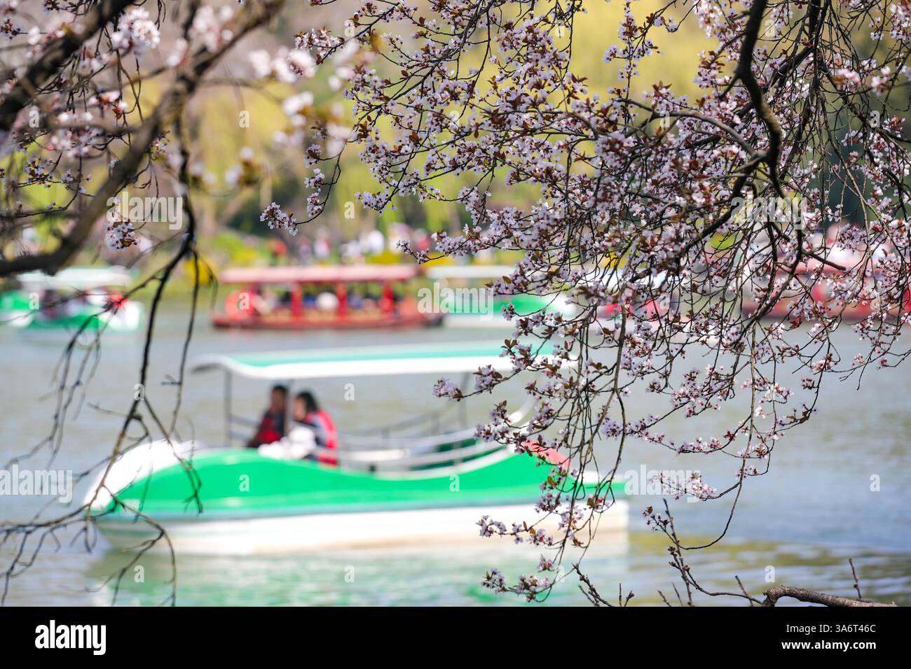 Spring scenery at the Slender West Lake scenic area in Yangzhou City ...