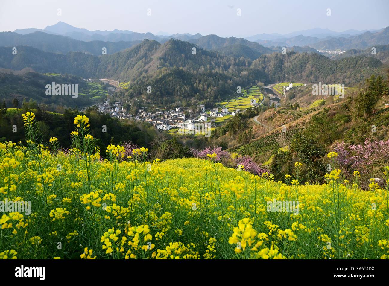 Shexian. 26th Mar, 2025. This photo taken on March 26, 2025 shows the ...