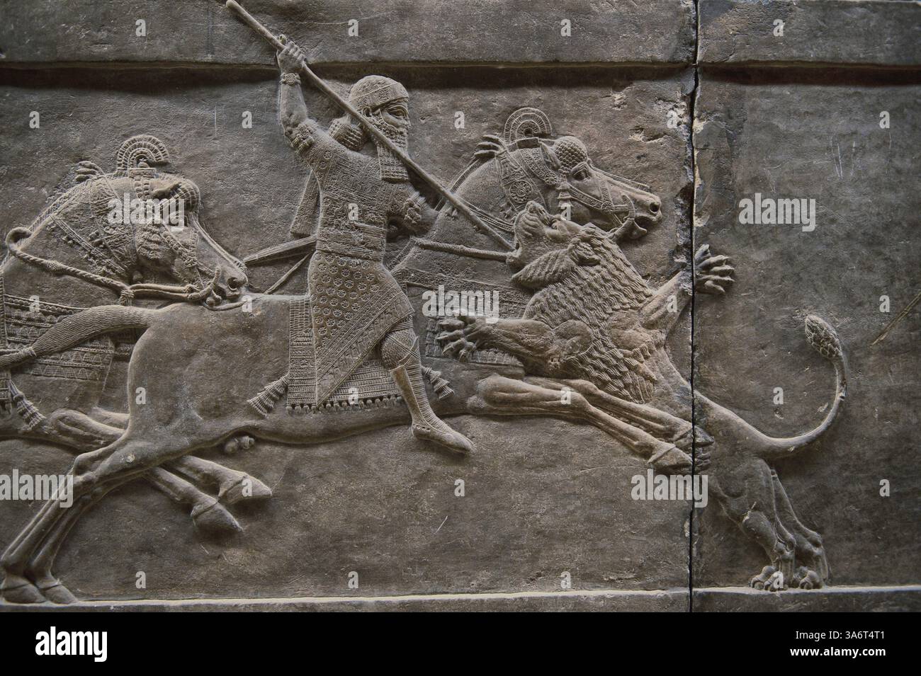 Assyrian bas relief sculpture panel depicting King Ashurnasirpal lion ...