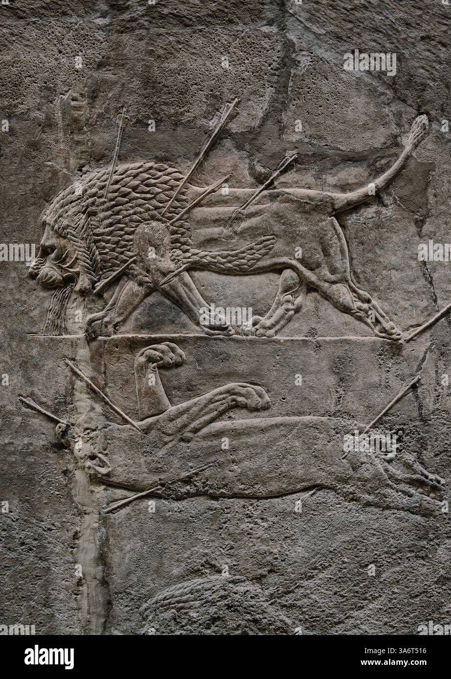 Relief panels depicting lion hunt hi-res stock photography and images ...