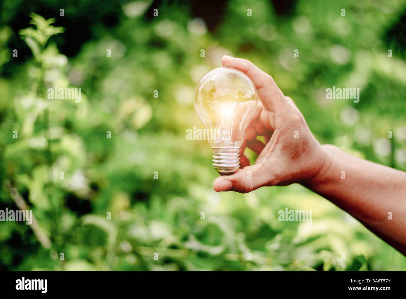 Environmental and ecology concept hand holding light bulb with green ...