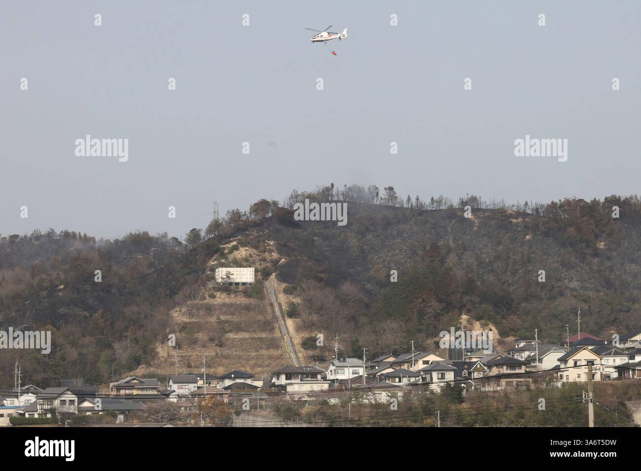 A photo shows a burnt mountain near a residential area due to forest ...