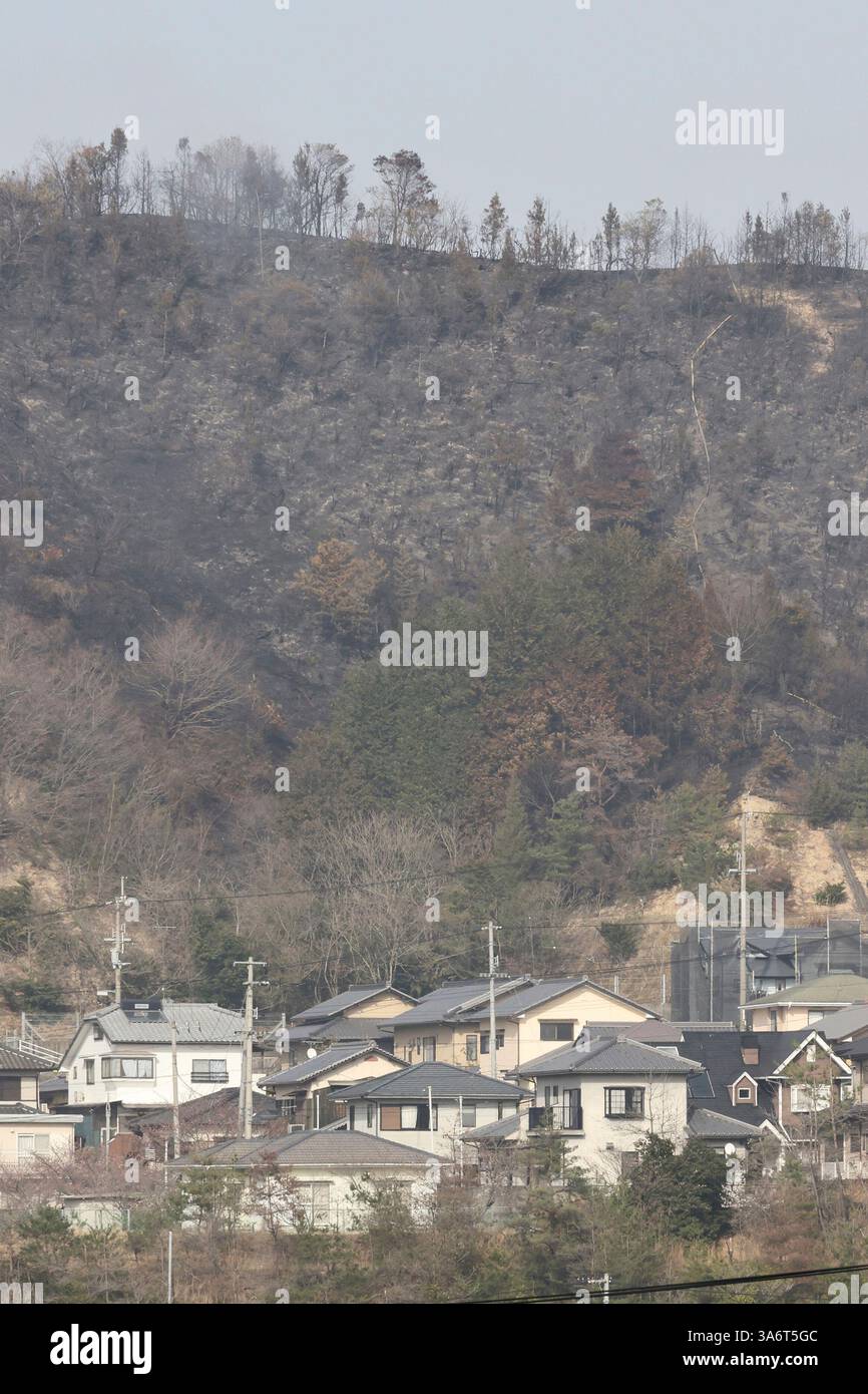 A photo shows a burnt mountain near a residential area due to forest ...