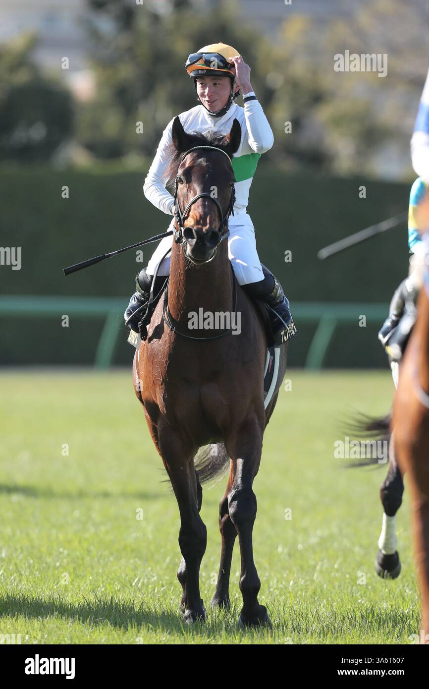 2025/03/09 HANSHIN 11R OSAKAJO STAKES David Barows/Mirai Iwata Jockey Hanshin Racecourse in ...