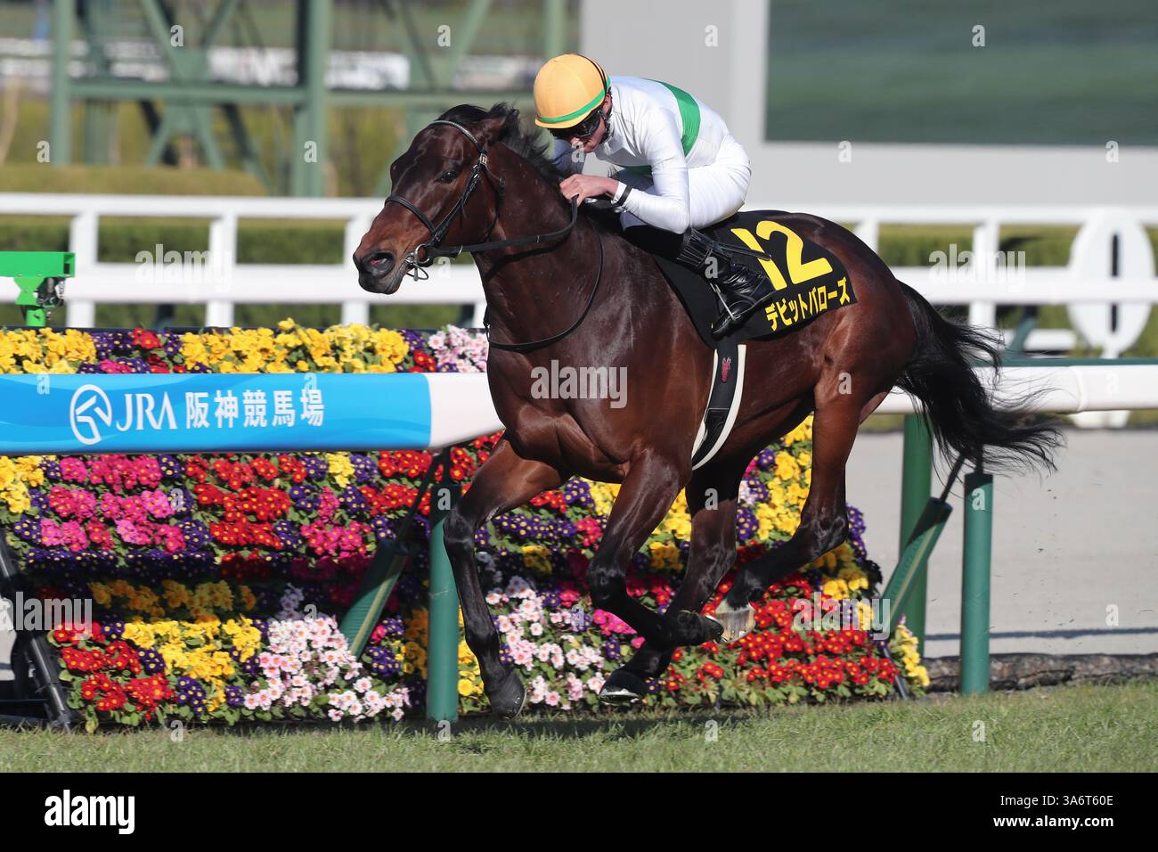 2025/03/09 HANSHIN 11R OSAKAJO STAKES David Barows / Mirai Iwata Jockey Hanshin Racecourse in ...