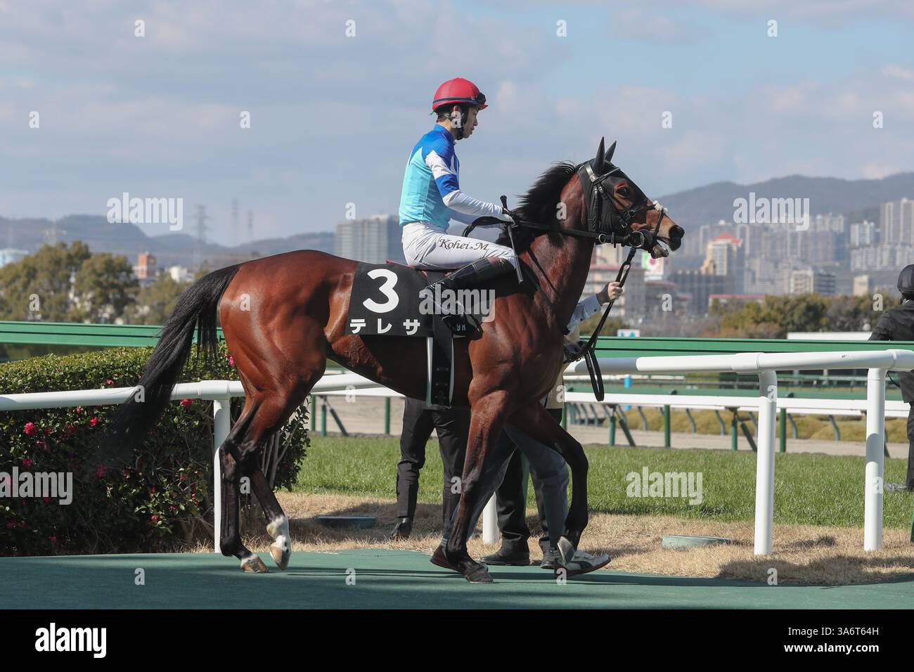 2025/03/09 HANSHIN 09R ARMERIA SHO Theresa / Kohei Matsuyama Jockey Hanshin Racecourse in Hyogo ...