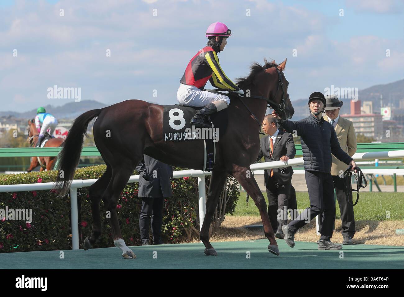 2025/03/09 HANSHIN 09R ARMERIA SHO Tripolitania / Yuichi Kitamura ...