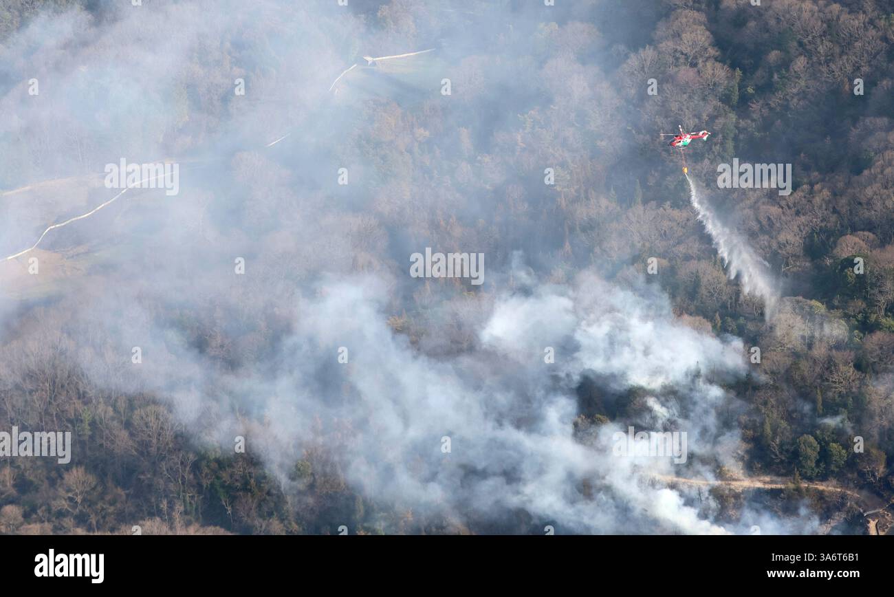 Aerial photo shows burnt mountains due to forest fire in Imabari City ...