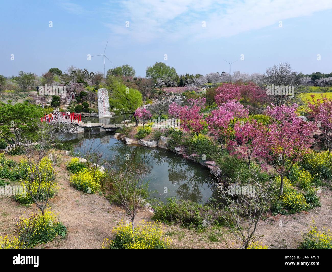 Aerial photo shows cherry blossoms in Jingzhou City, central China's ...