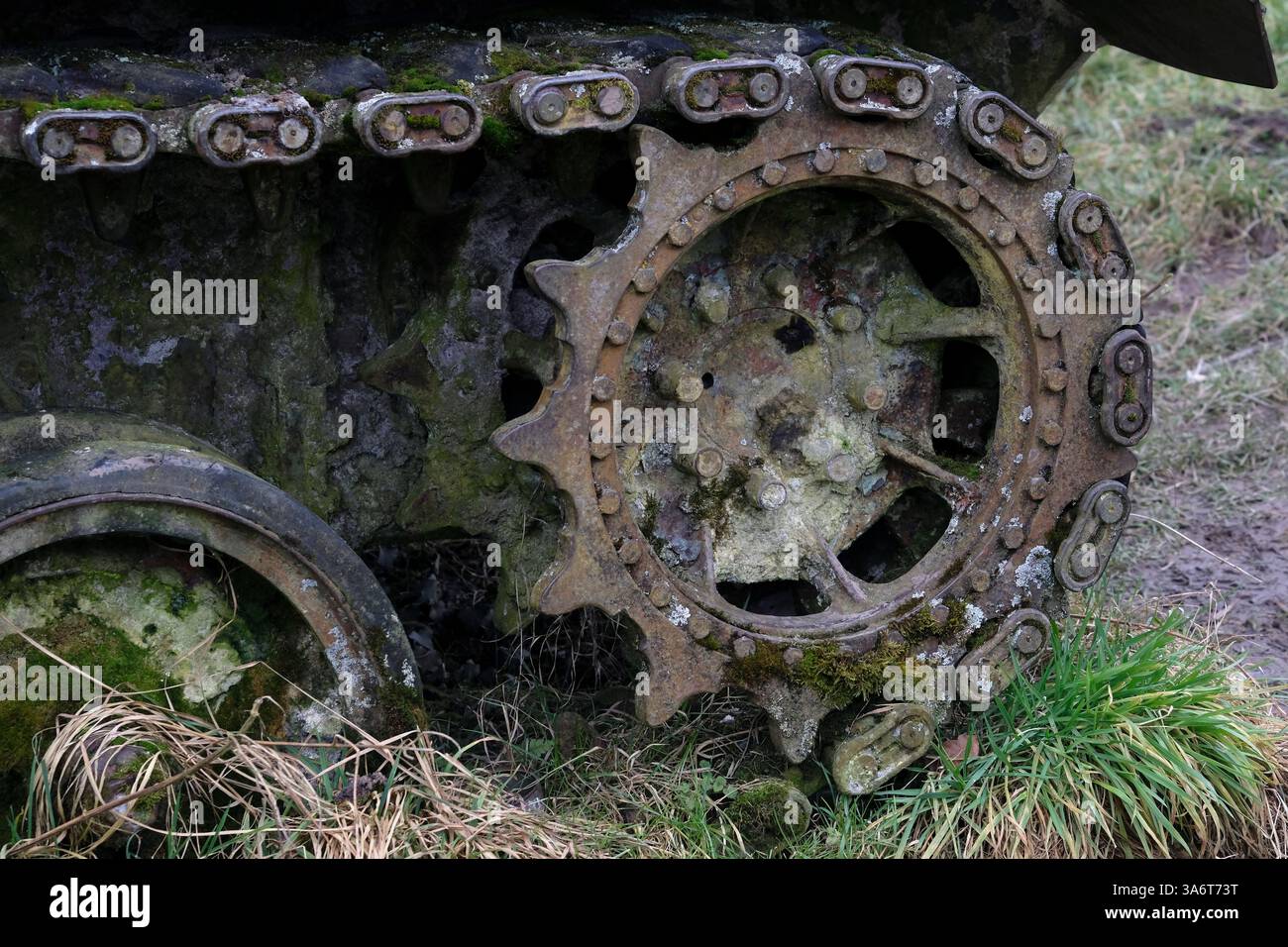 Remains of a tank from the second World War in a forest in Western ...