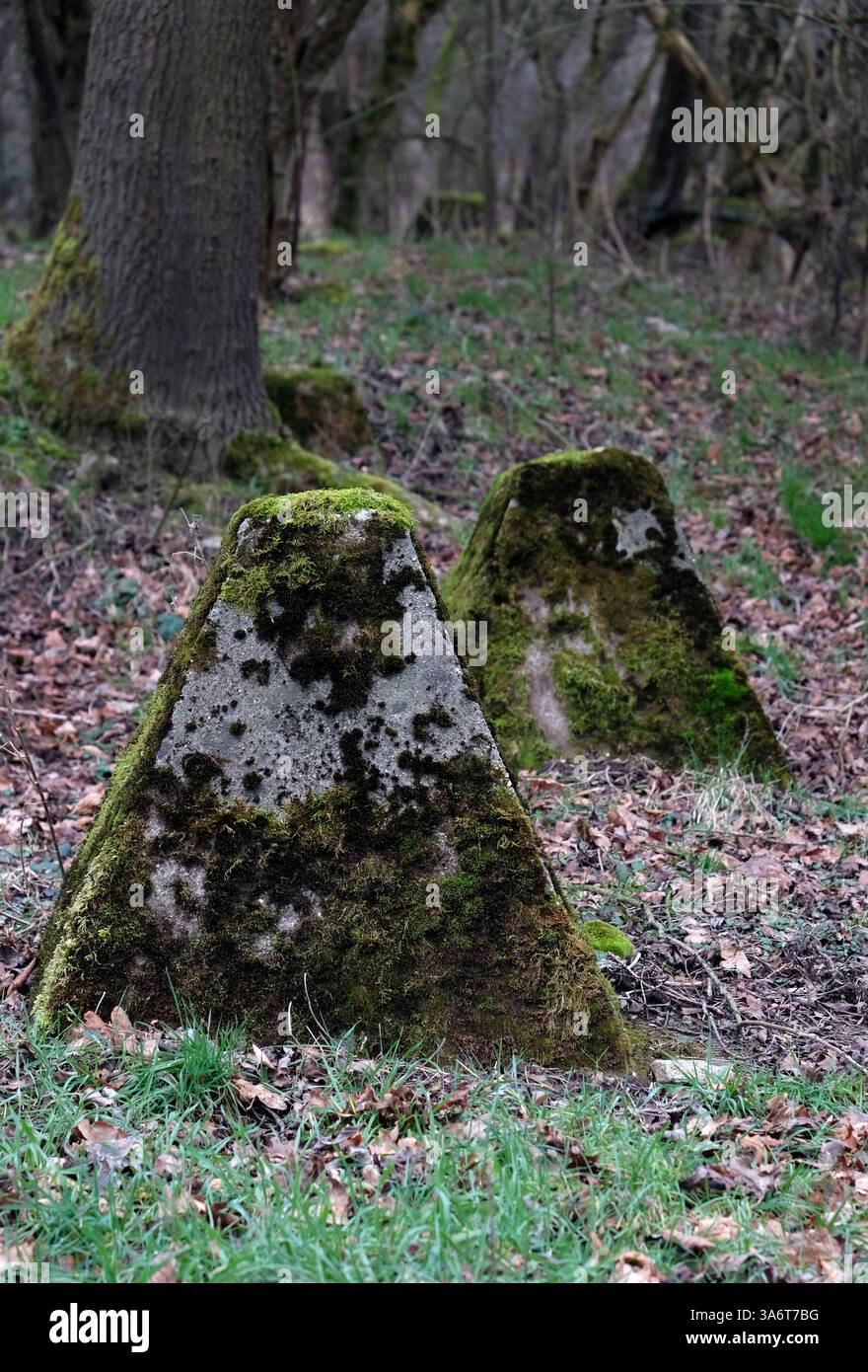 Remains of the so-called dragon's teeth, anti-tank obstacles used at ...