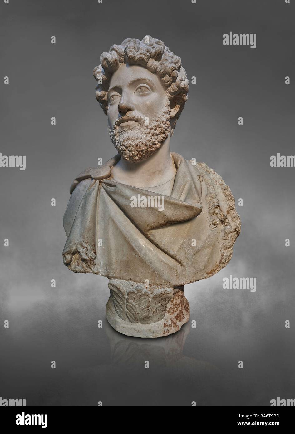 Roman marble bust of the emperor Marcus Aurelius in a fringed cloak ...