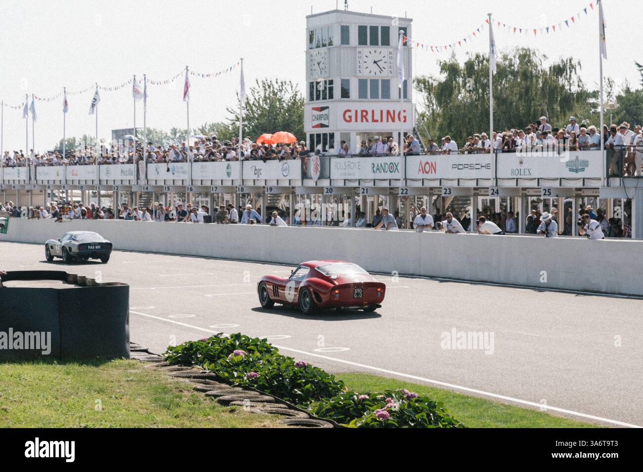 250 horses hi-res stock photography and images - Alamy