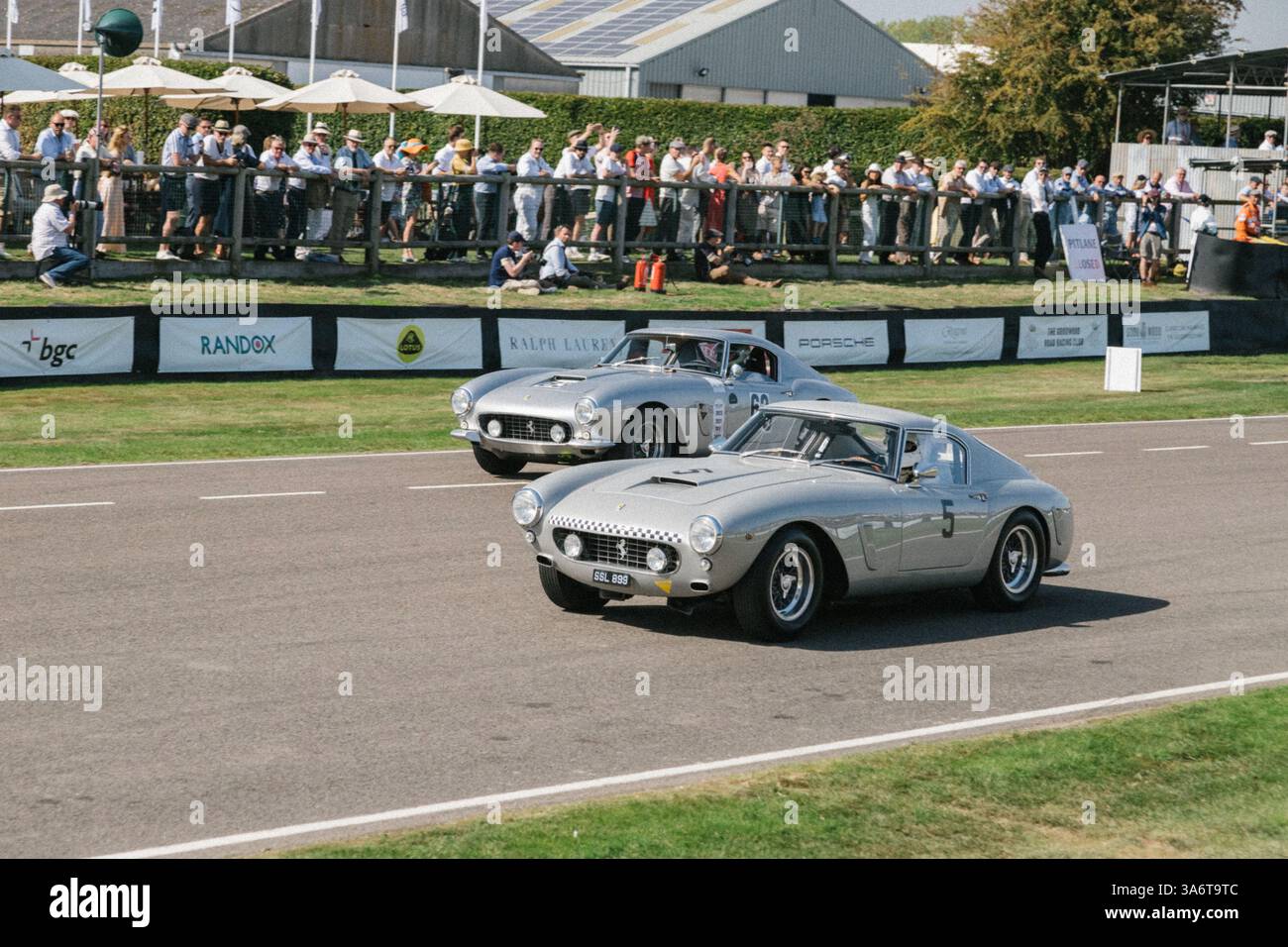 Shelby racing hi-res stock photography and images - Alamy