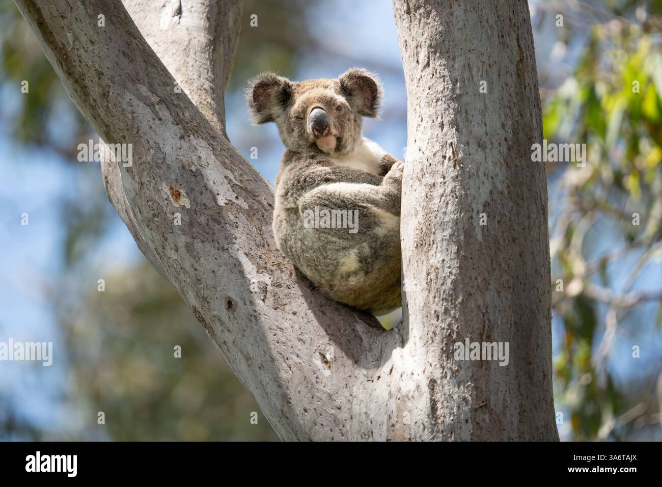 Chills hi-res stock photography and images - Alamy