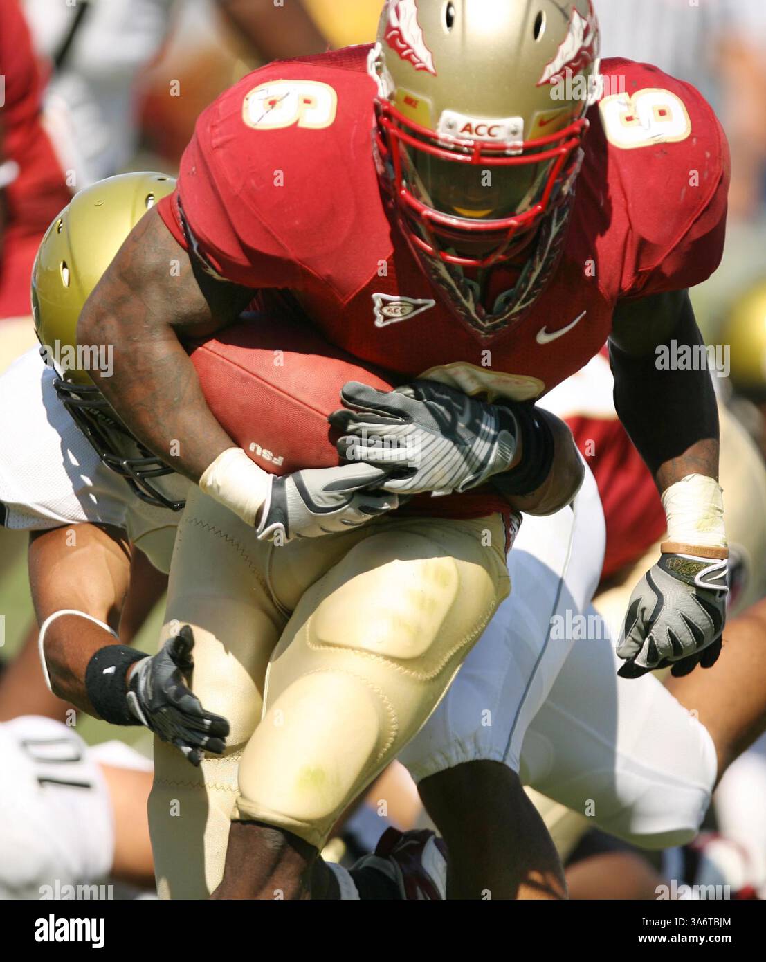 Sept. 28, 2008 - Florida State running back Antone Smith runs through ...