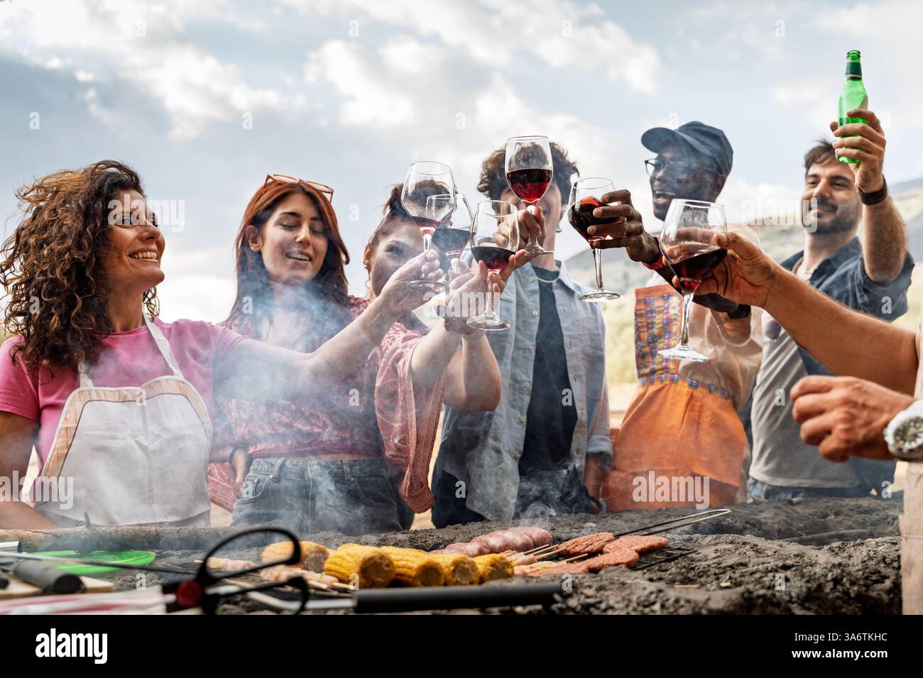 Happy multicultural friends toasting with wine and beer during barbecue ...