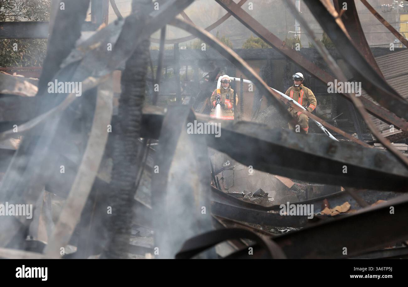 Firefighters work to put out buildings burned down by a forest fire in ...