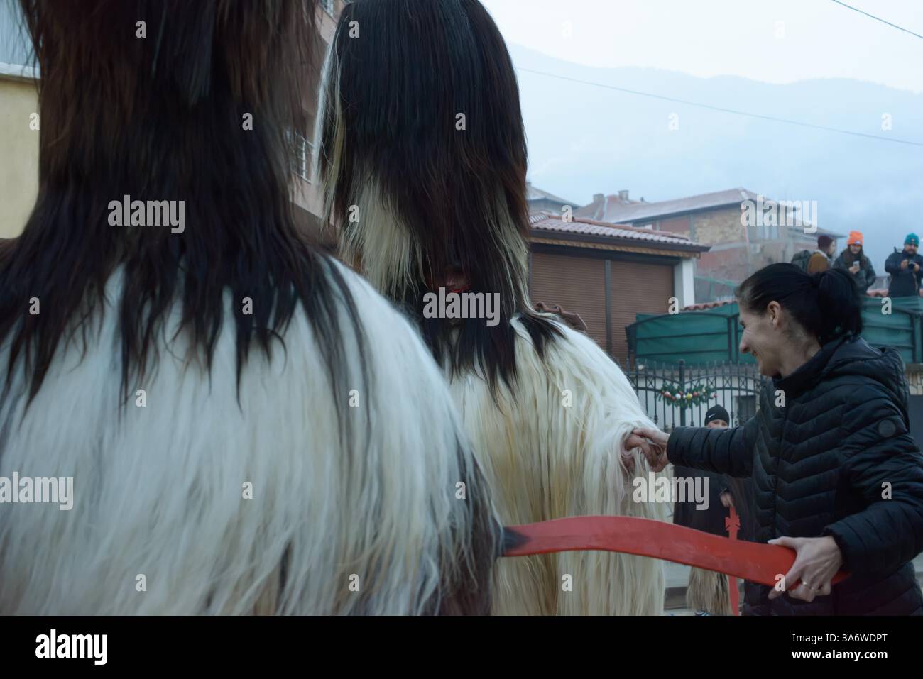 Traditional Kukeri dancers in long fur costumes perform a circle dance ...